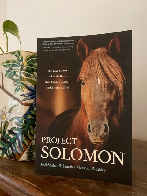 Horses – Storyschooling