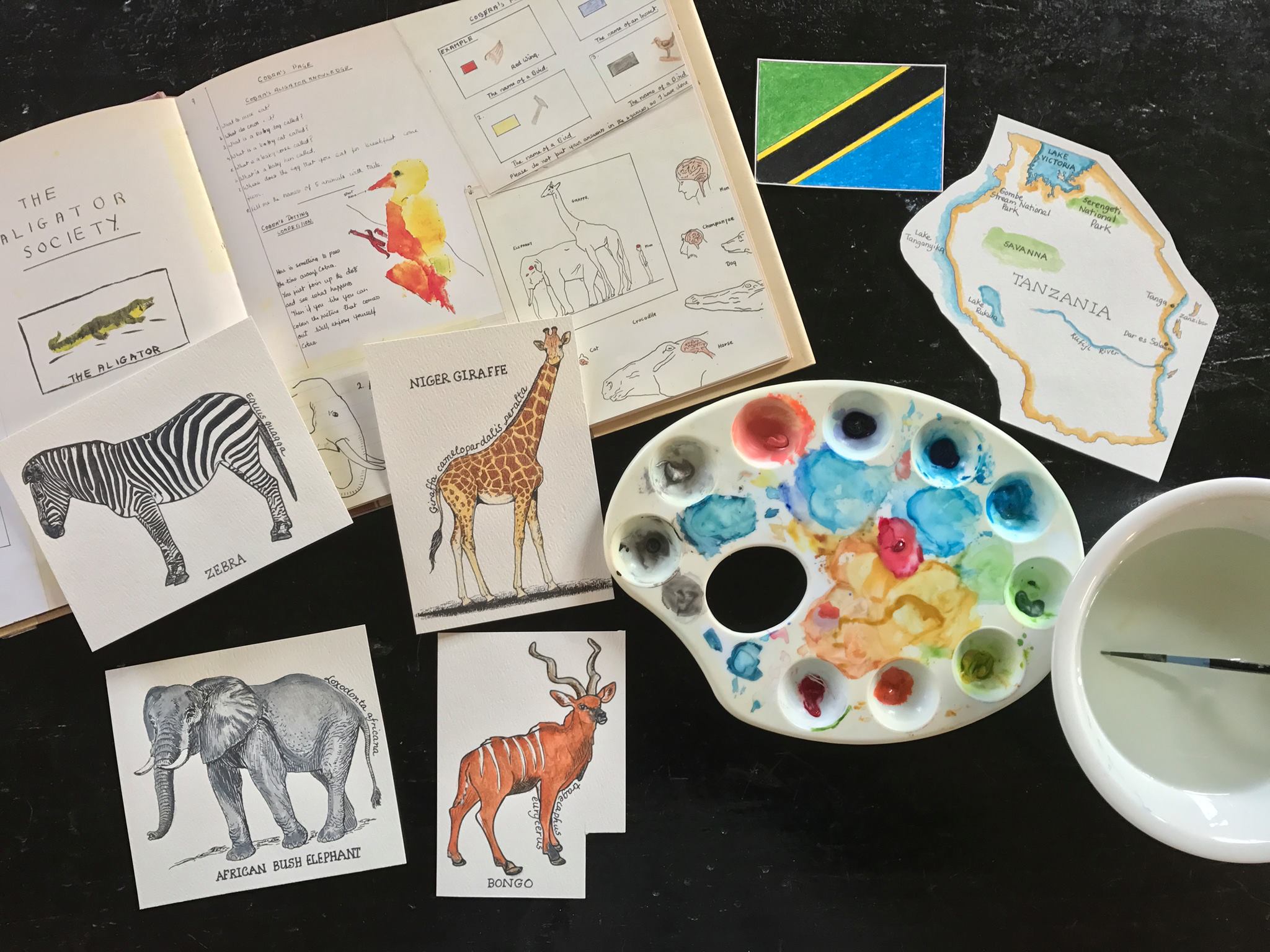 Travel Around The World With Picture Books (Part 1) - Storyschooling